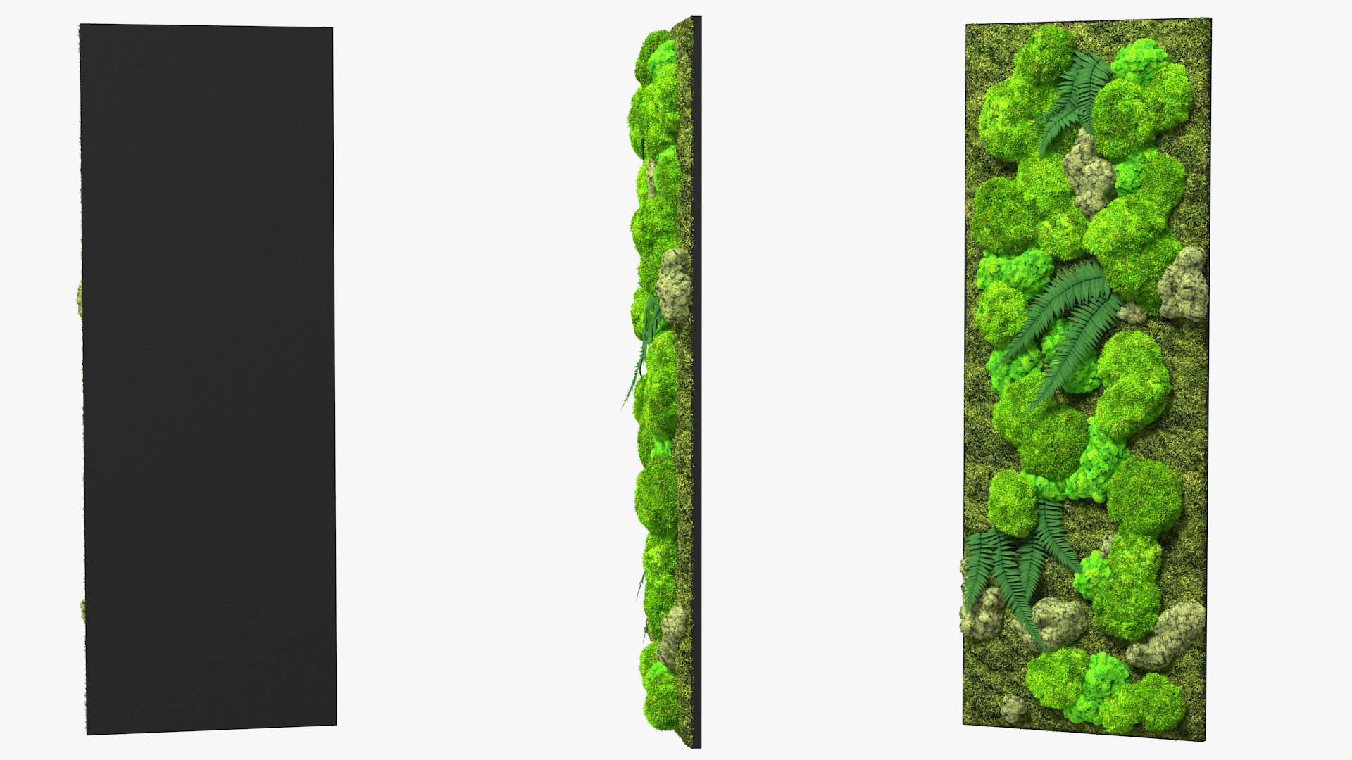 Natural Moss Wall Preserved 3D - TurboSquid 1655386