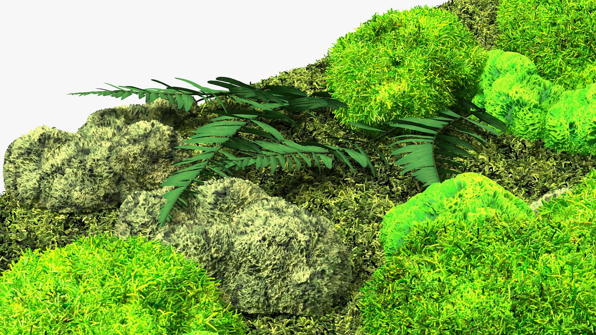 Natural Moss Wall Preserved 3D - TurboSquid 1655386