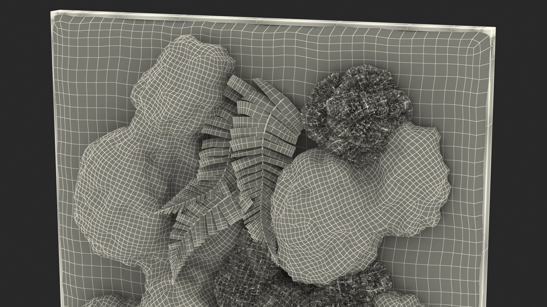 Natural Moss Wall Preserved 3D - TurboSquid 1655386