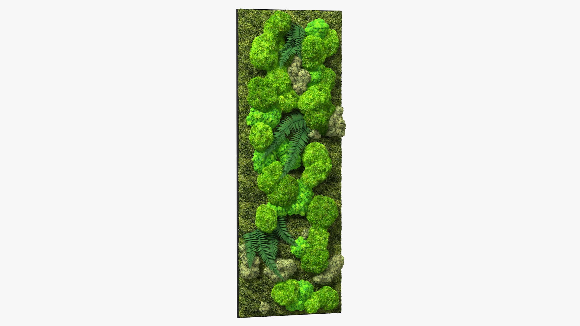 Natural moss wall preserved 3D - TurboSquid 1655386