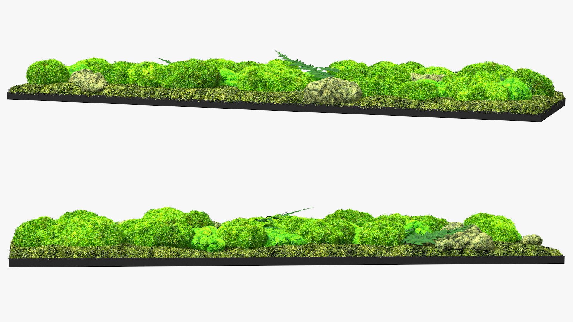 Natural Moss Wall Preserved 3D - TurboSquid 1655386