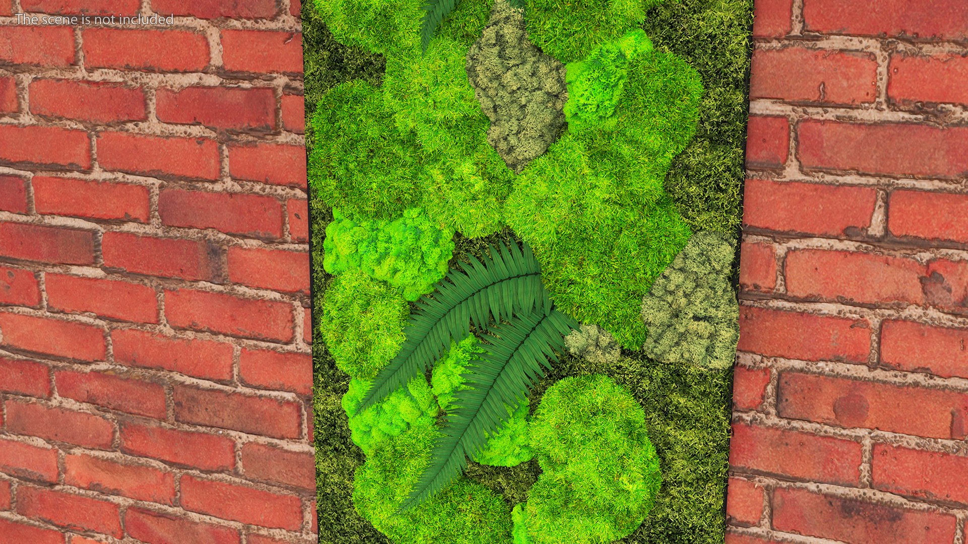 Natural Moss Wall Preserved 3D - TurboSquid 1655386