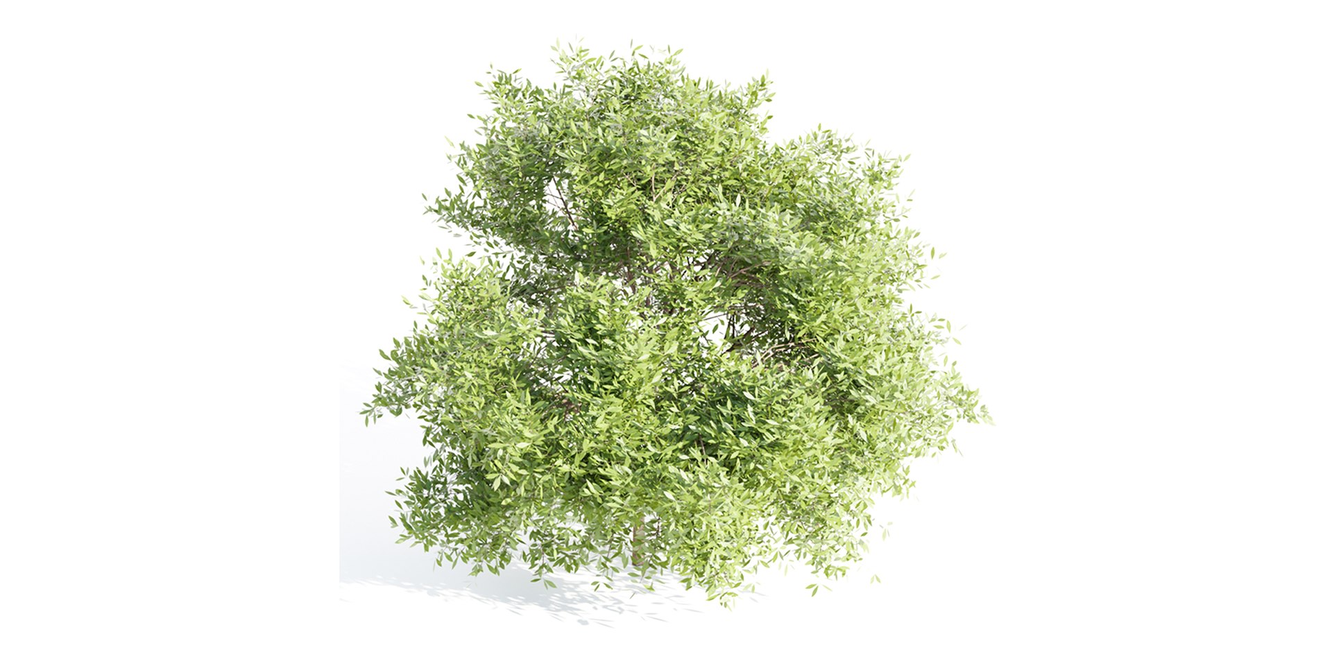 Outdoor Bushes Collection vol 89-Blender 3D model - TurboSquid 2132794