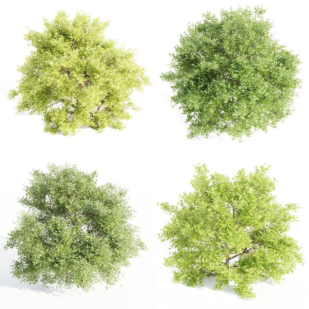 Outdoor Bushes Collection vol 89-Blender 3D model - TurboSquid 2132794