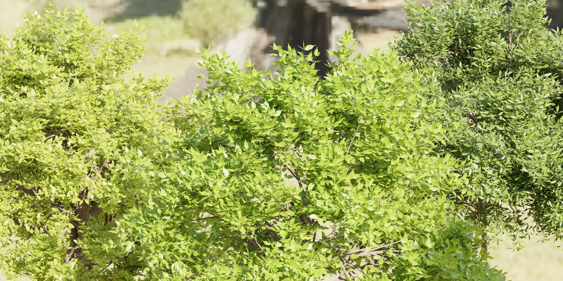 Outdoor Bushes Collection vol 89-Blender 3D model - TurboSquid 2132794