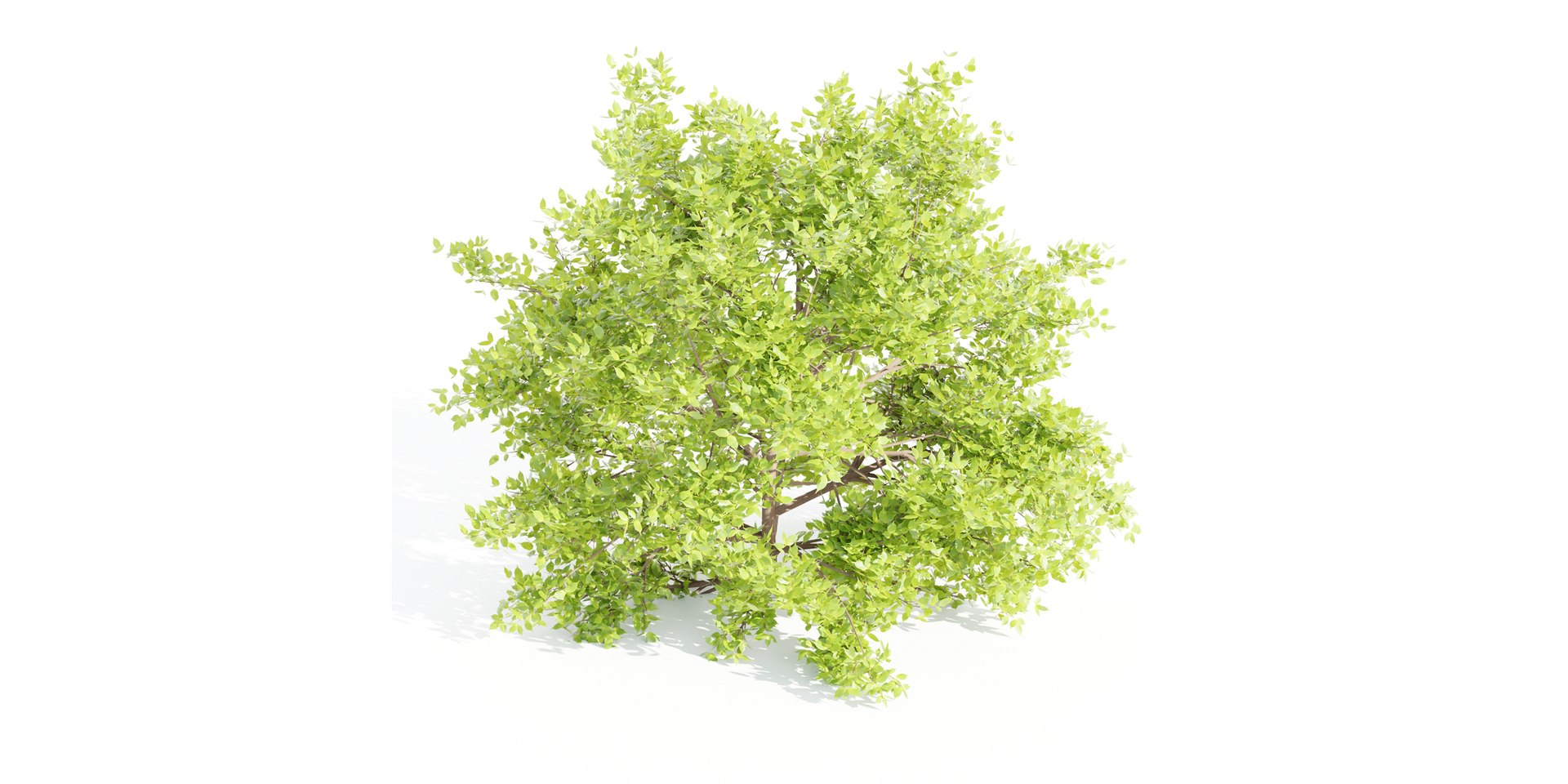 Outdoor Bushes Collection vol 89-Blender 3D model - TurboSquid 2132794