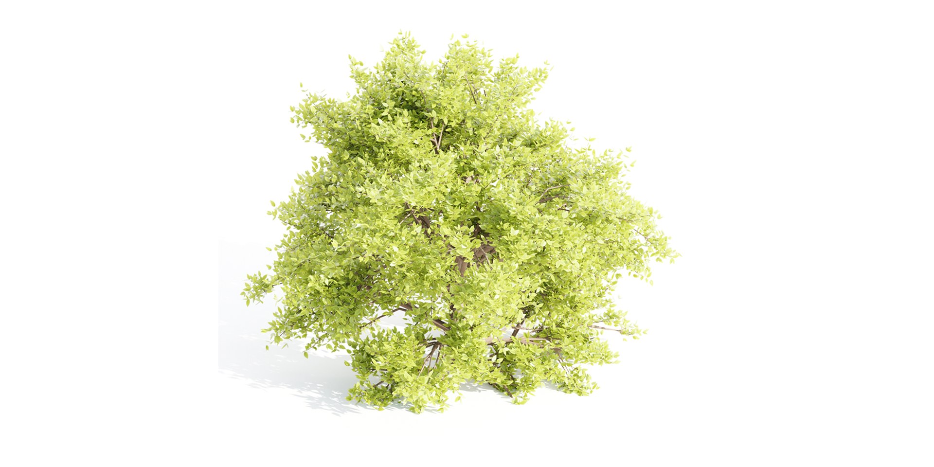 Outdoor Bushes Collection vol 89-Blender 3D model - TurboSquid 2132794
