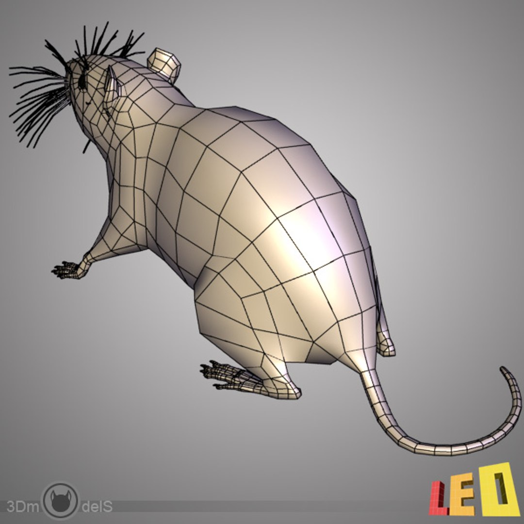 3d Model Rat