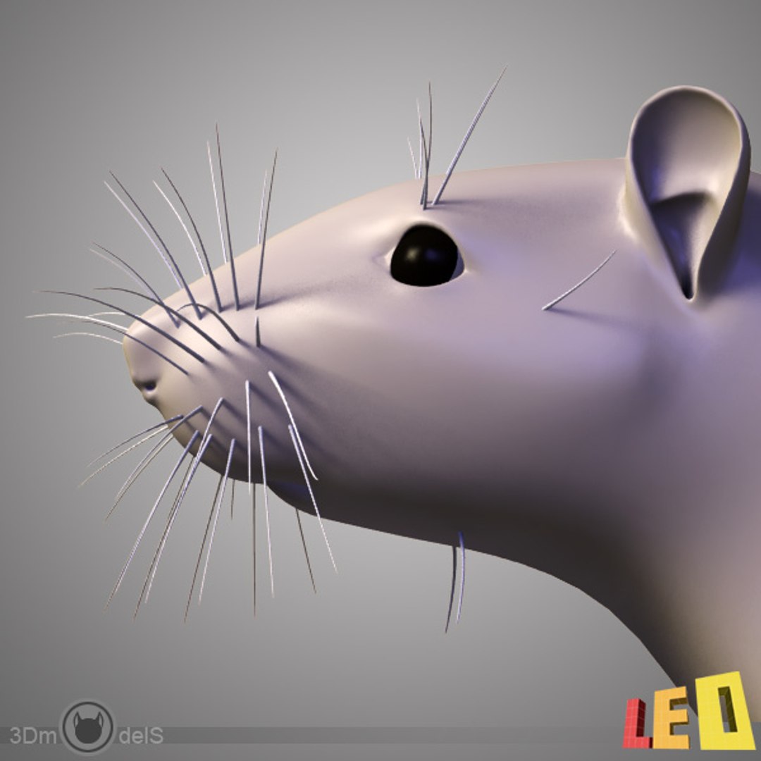 3d Model Rat