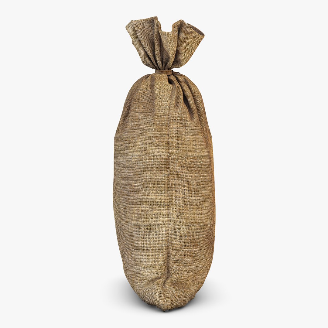 3D sack v 2 - TurboSquid 1346676