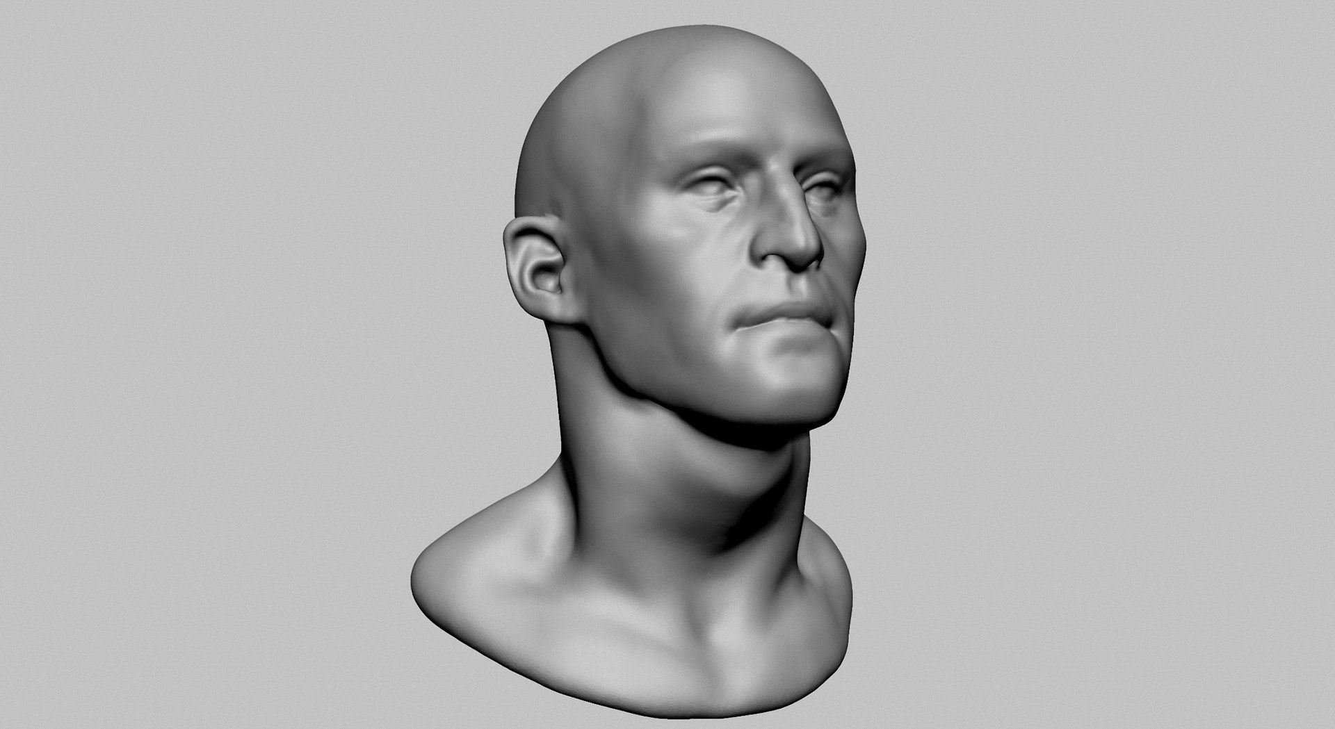 Male Head Anatomy Model - TurboSquid 1626941