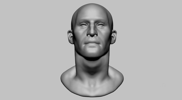 male head base anatomy obj