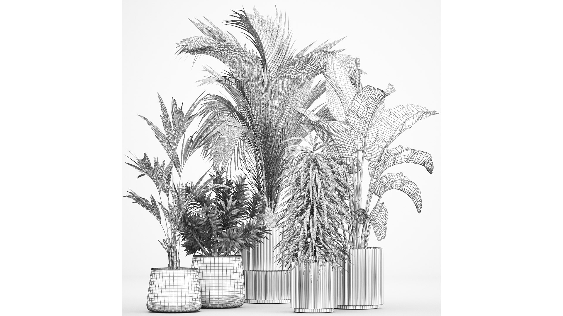 3D Set of plants in pots Strelitzia palm and Dracaena 1223 - TurboSquid ...