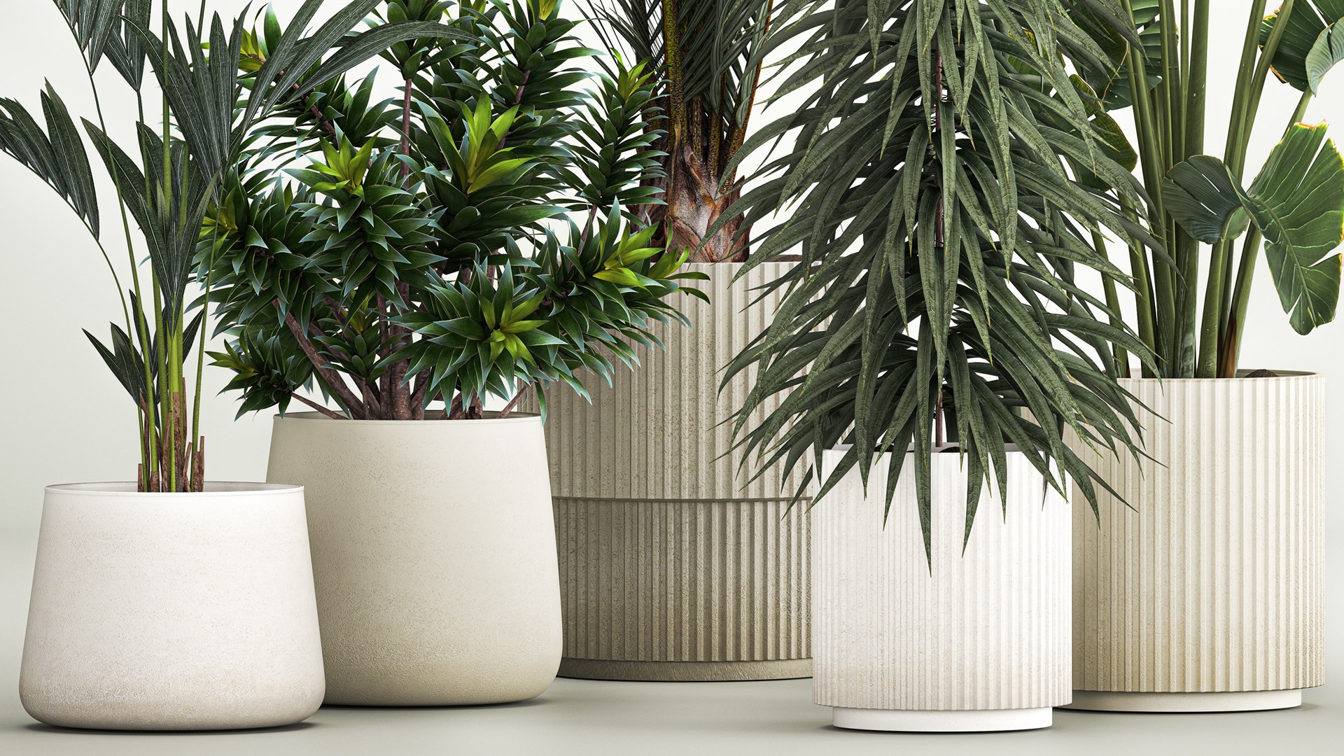 3D Set of plants in pots Strelitzia palm and Dracaena 1223 - TurboSquid ...