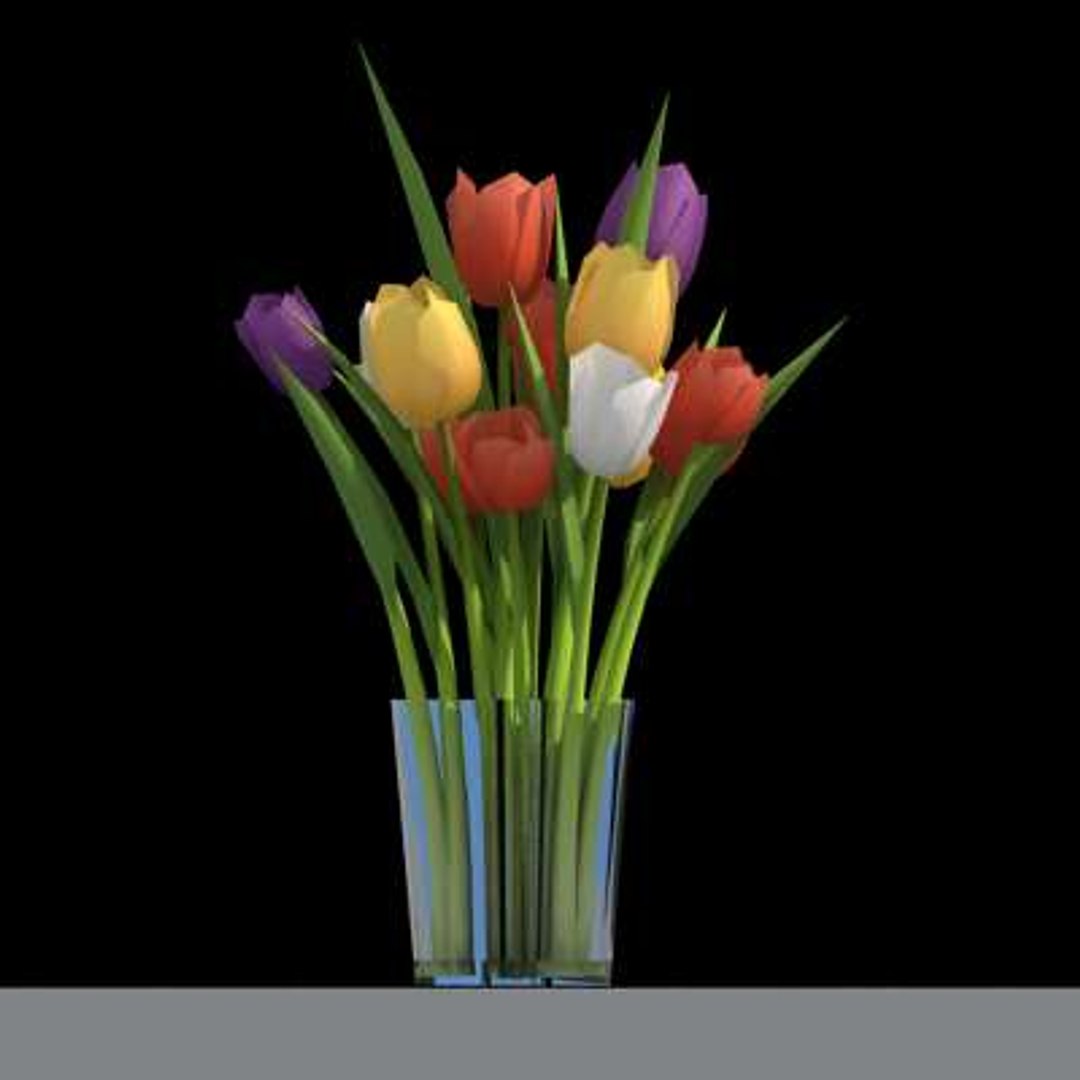 Maya Aalto Tulip Flowers