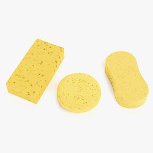 sponge 3d model