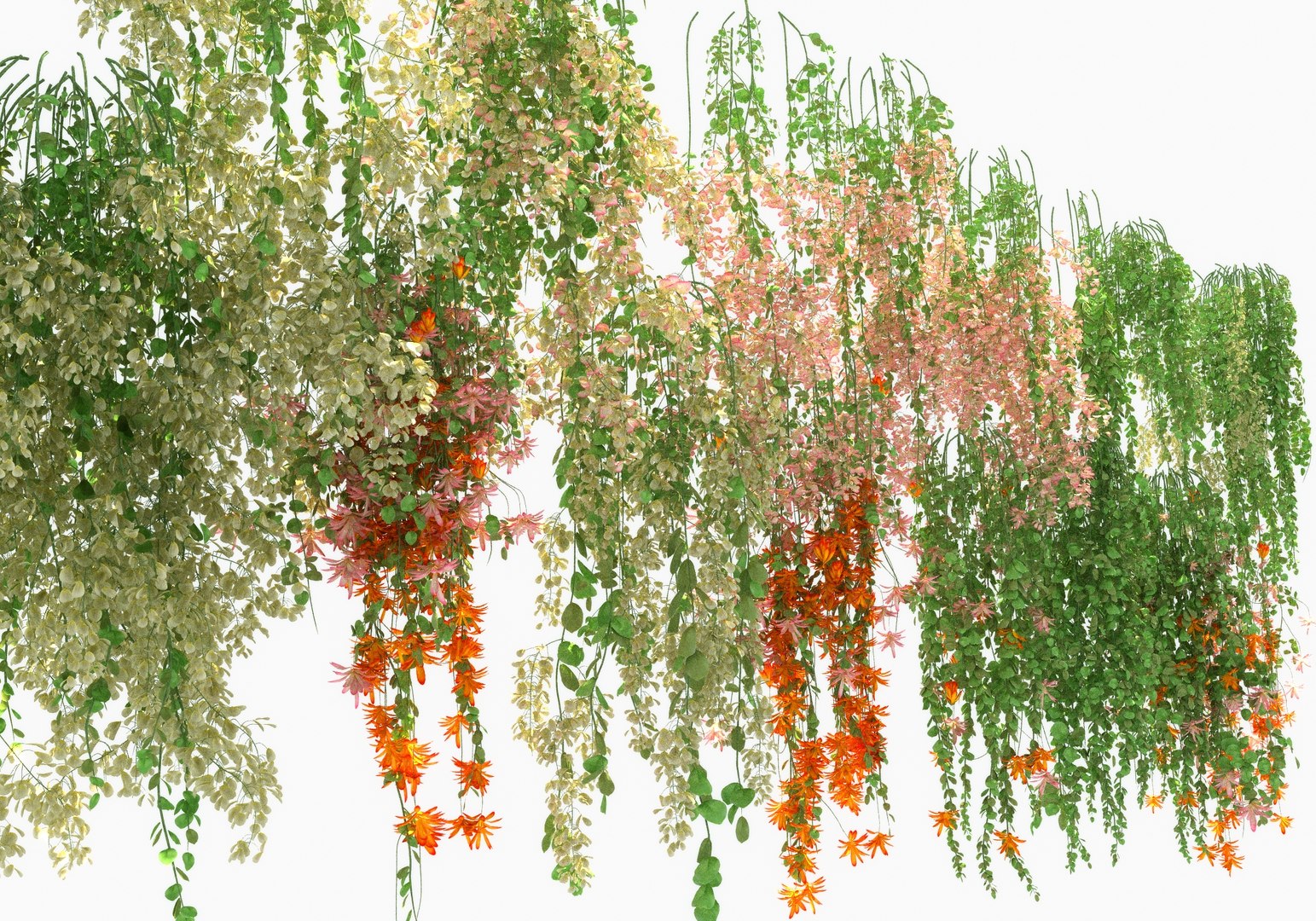 3D Hanging Flowers Pack Model - TurboSquid 1930396