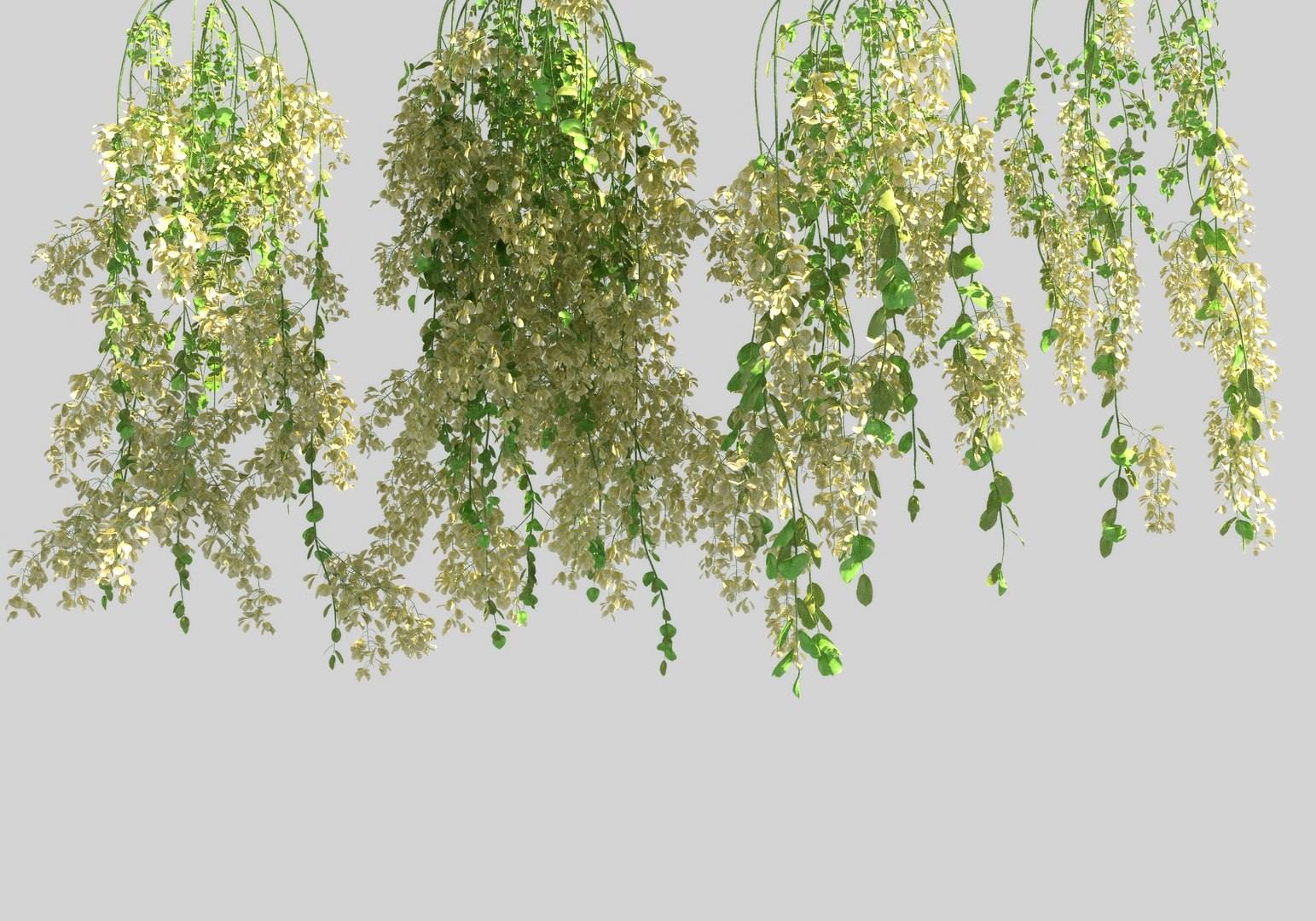 3D Hanging Flowers Pack model - TurboSquid 1930396