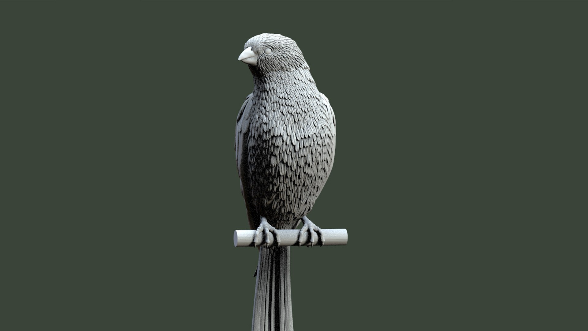 3D Model Bird - TurboSquid 2408132