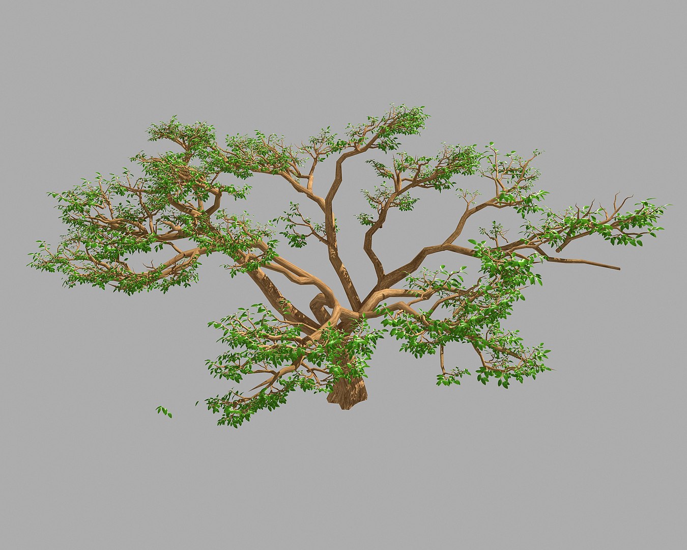 3D Plant - Green Tree - TurboSquid 1449755
