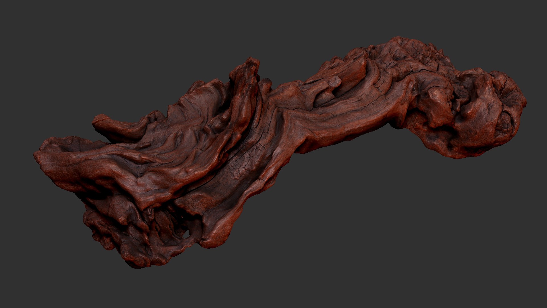 3D Scan Of The Tree Trunk 3D Model - TurboSquid 2147334
