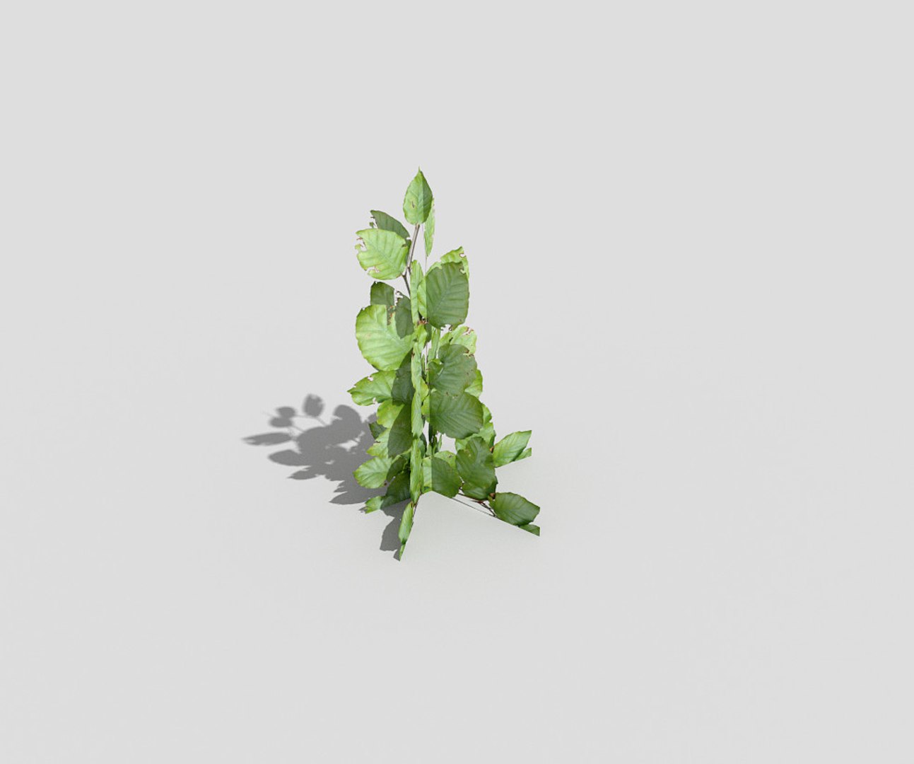 Plant Games 3d Model