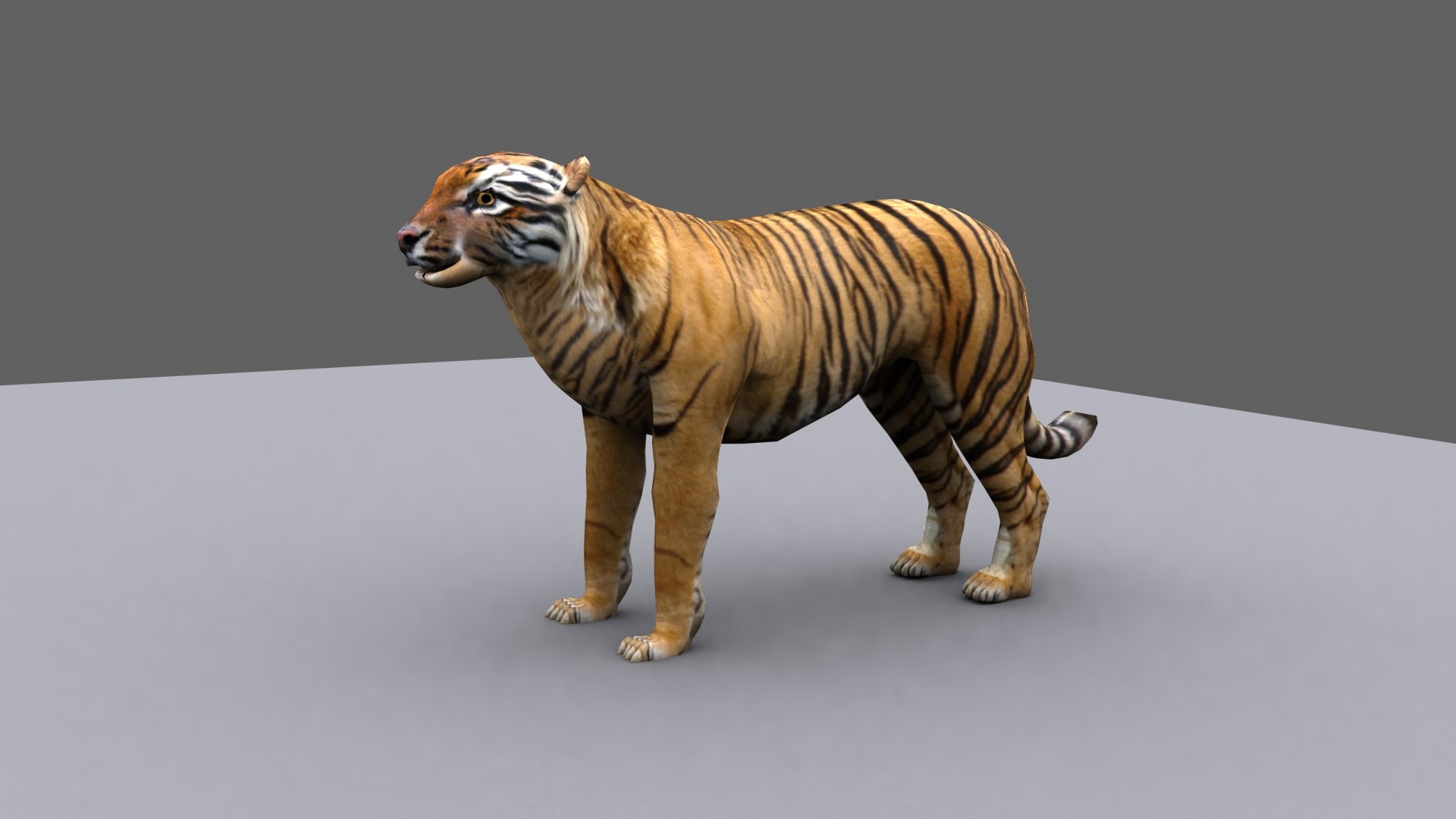 3d Model Tiger