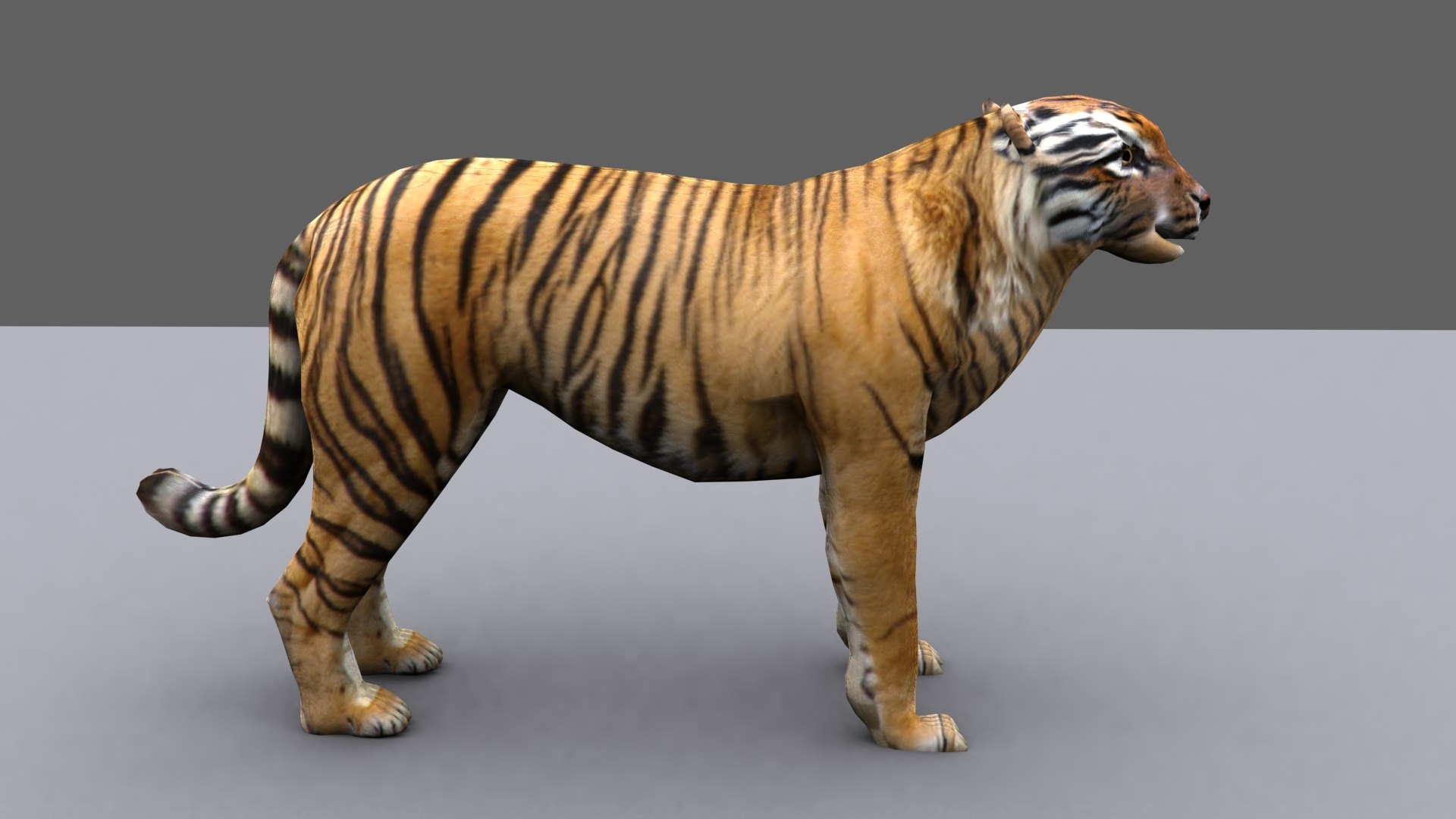 3d Model Tiger