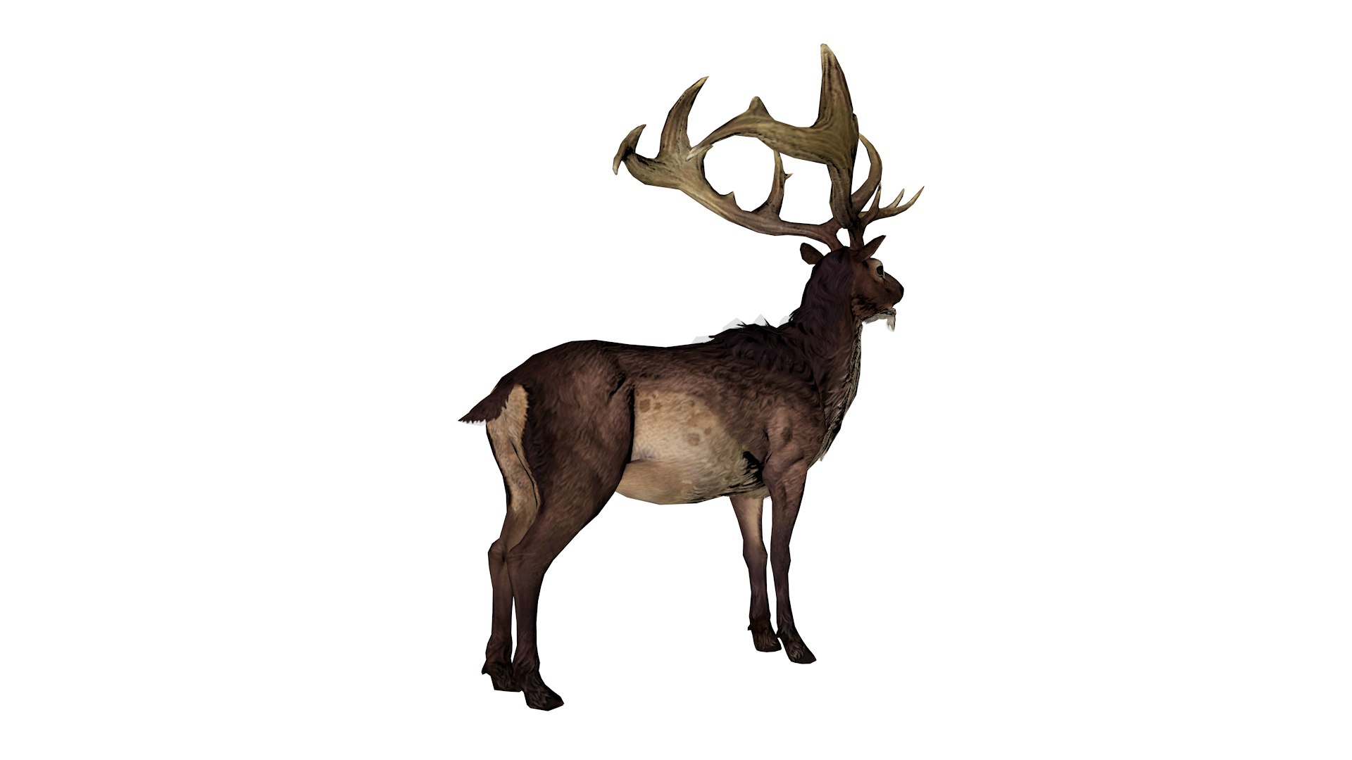 Realistic Deer Buck With Antlers 3D Model - TurboSquid 2412104