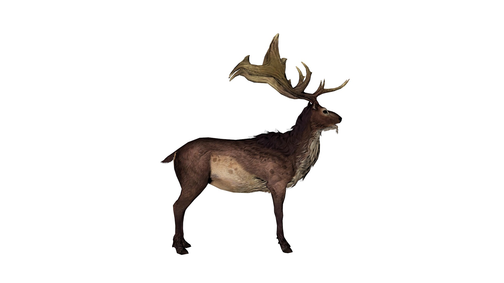 Realistic Deer Buck With Antlers 3D Model - TurboSquid 2412104