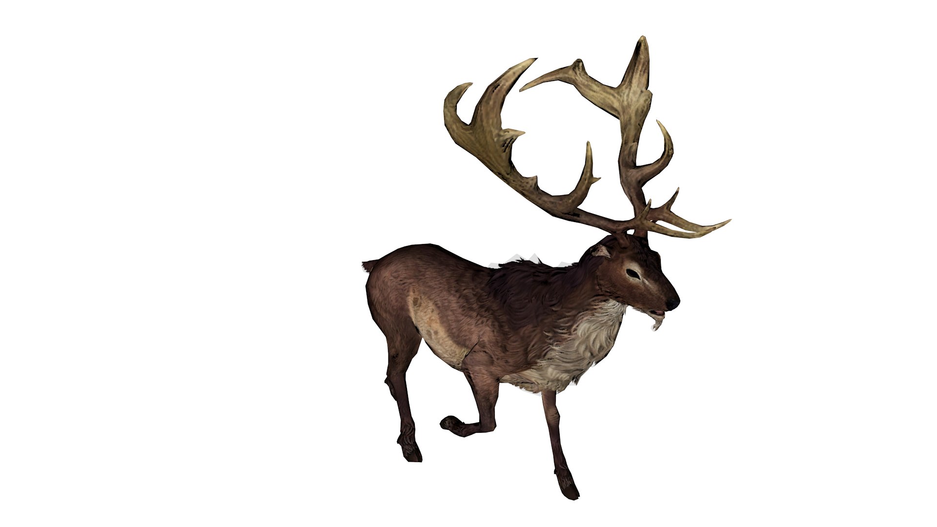 Realistic Deer Buck With Antlers 3D Model - TurboSquid 2412104