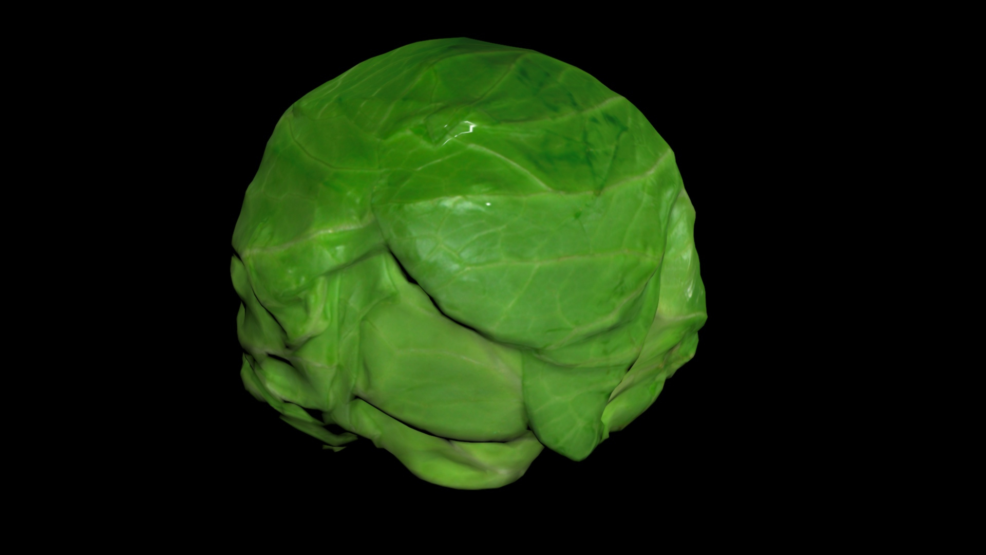 3D Model Cabbage Fruits - TurboSquid 1576876