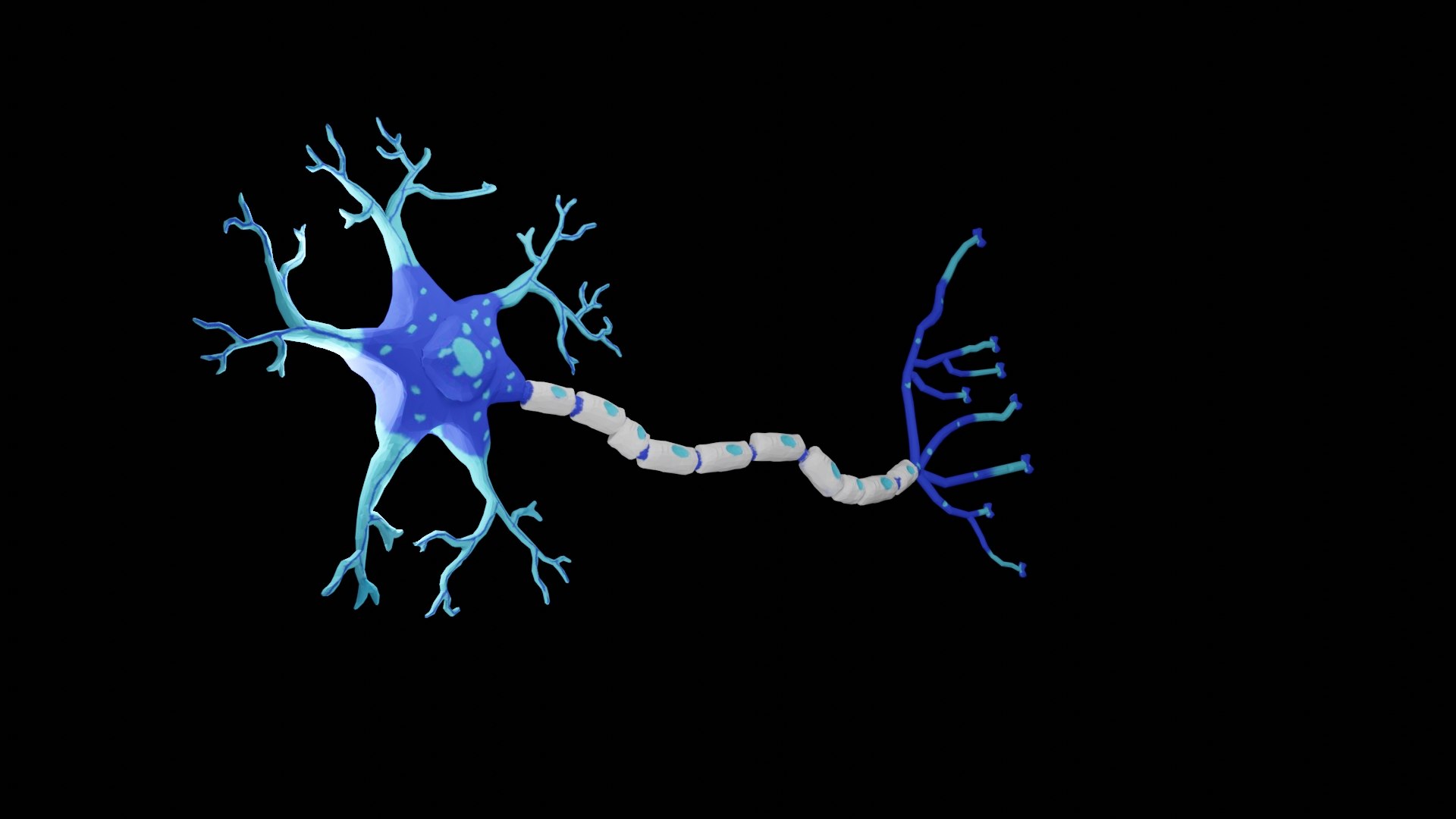 3D Neuron Cell Model - TurboSquid 1871017