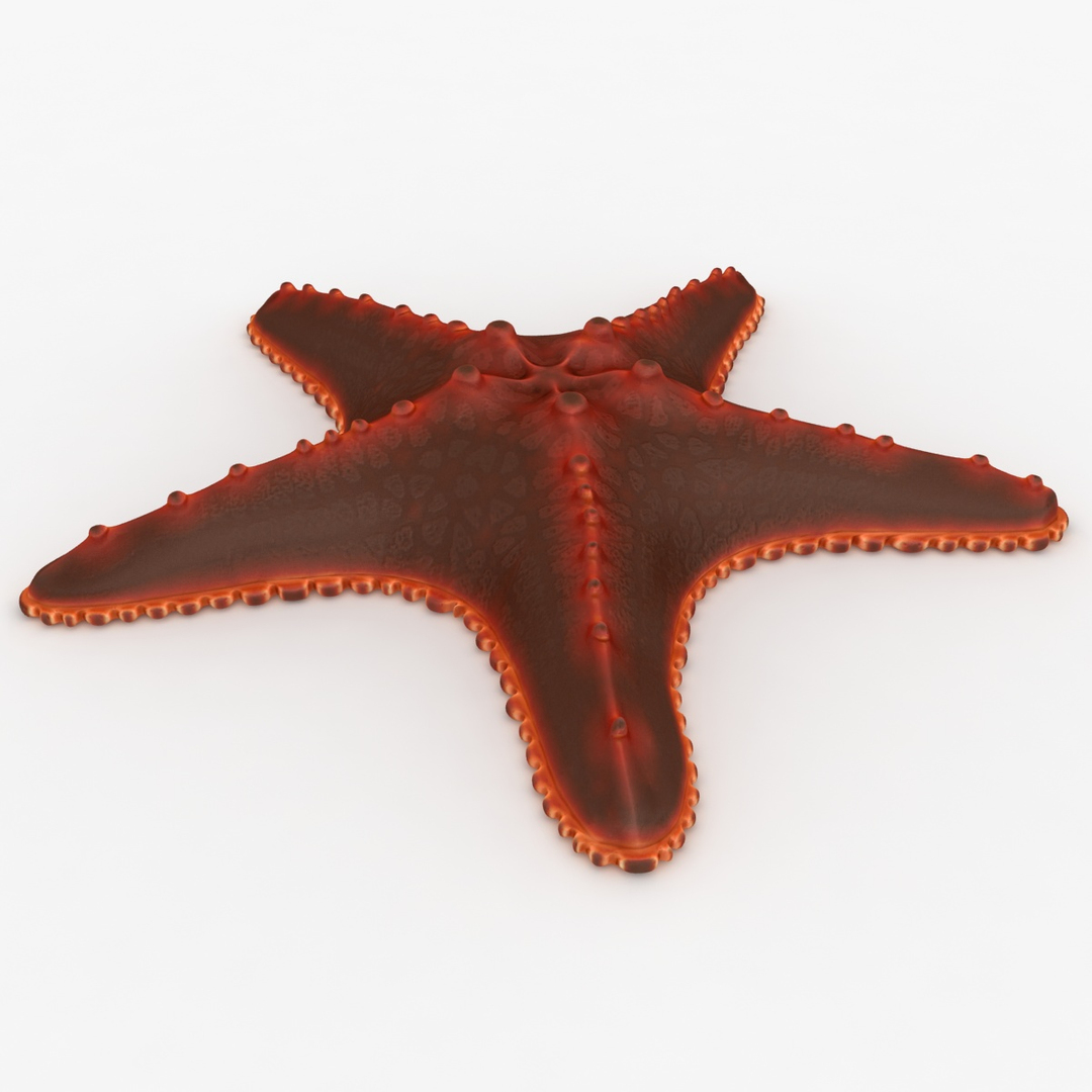 Sea Star 3d 3ds