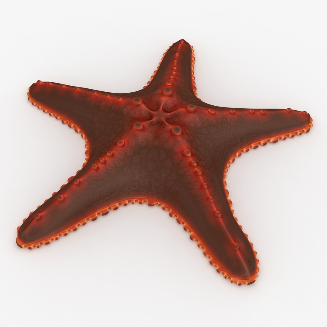 Sea Star 3d 3ds