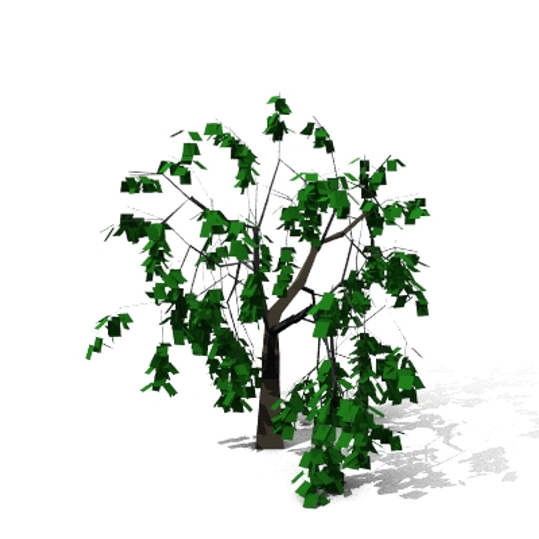 tree plants 3d model