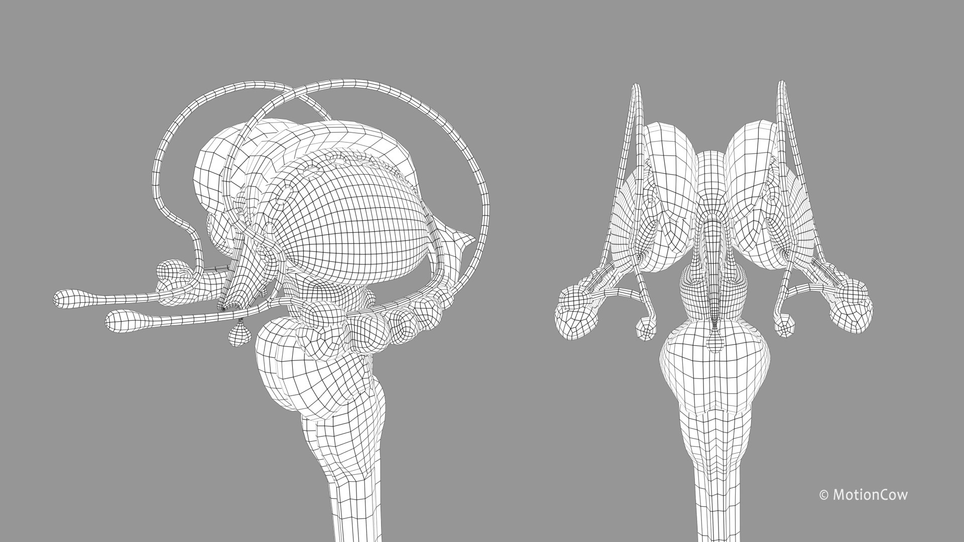 3D Model Human Brain - TurboSquid 624395