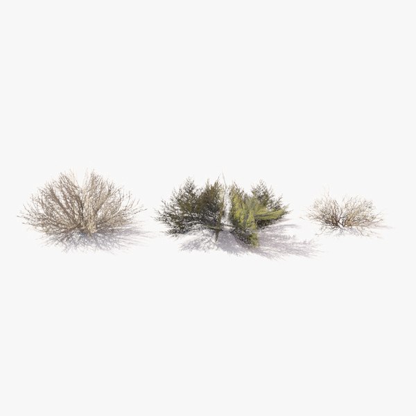 Desert Bushes 3D model - TurboSquid 1949107