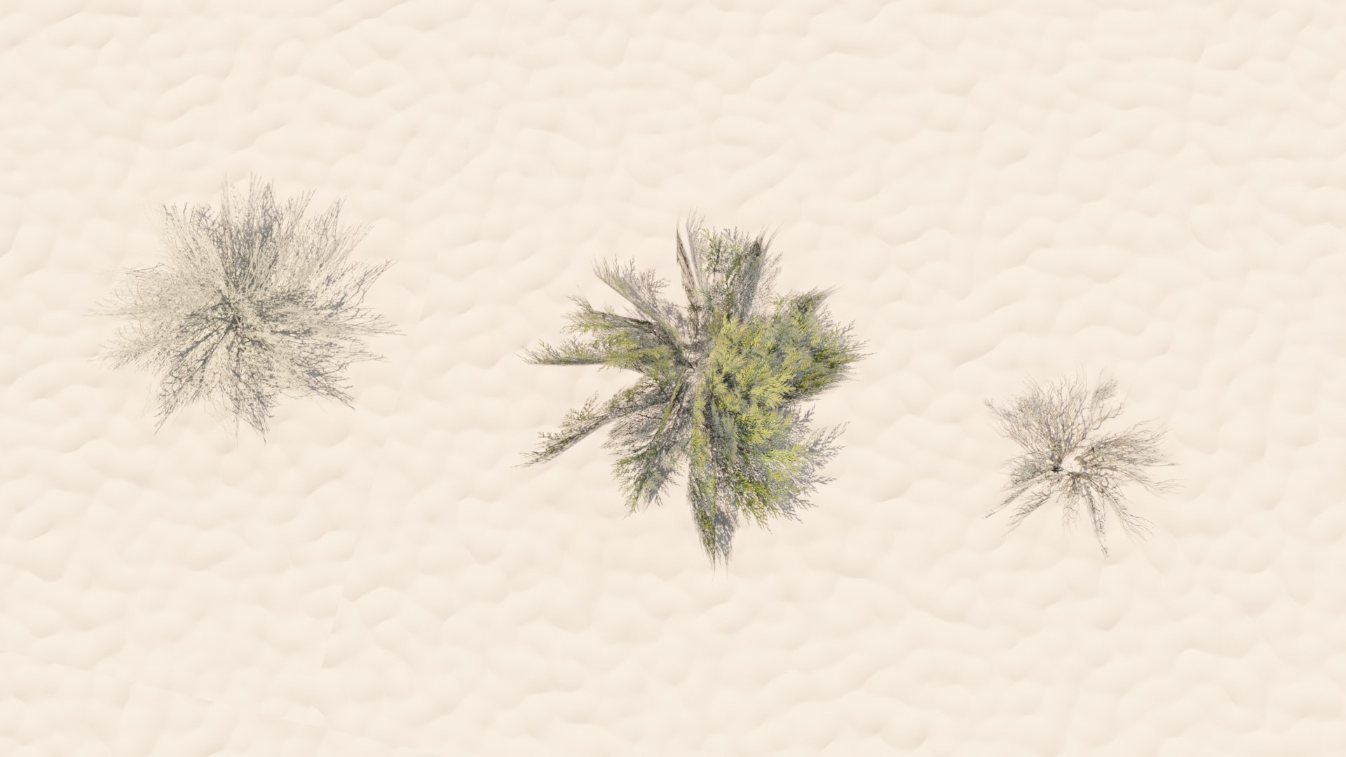 Desert Bushes 3D Model - TurboSquid 1949107