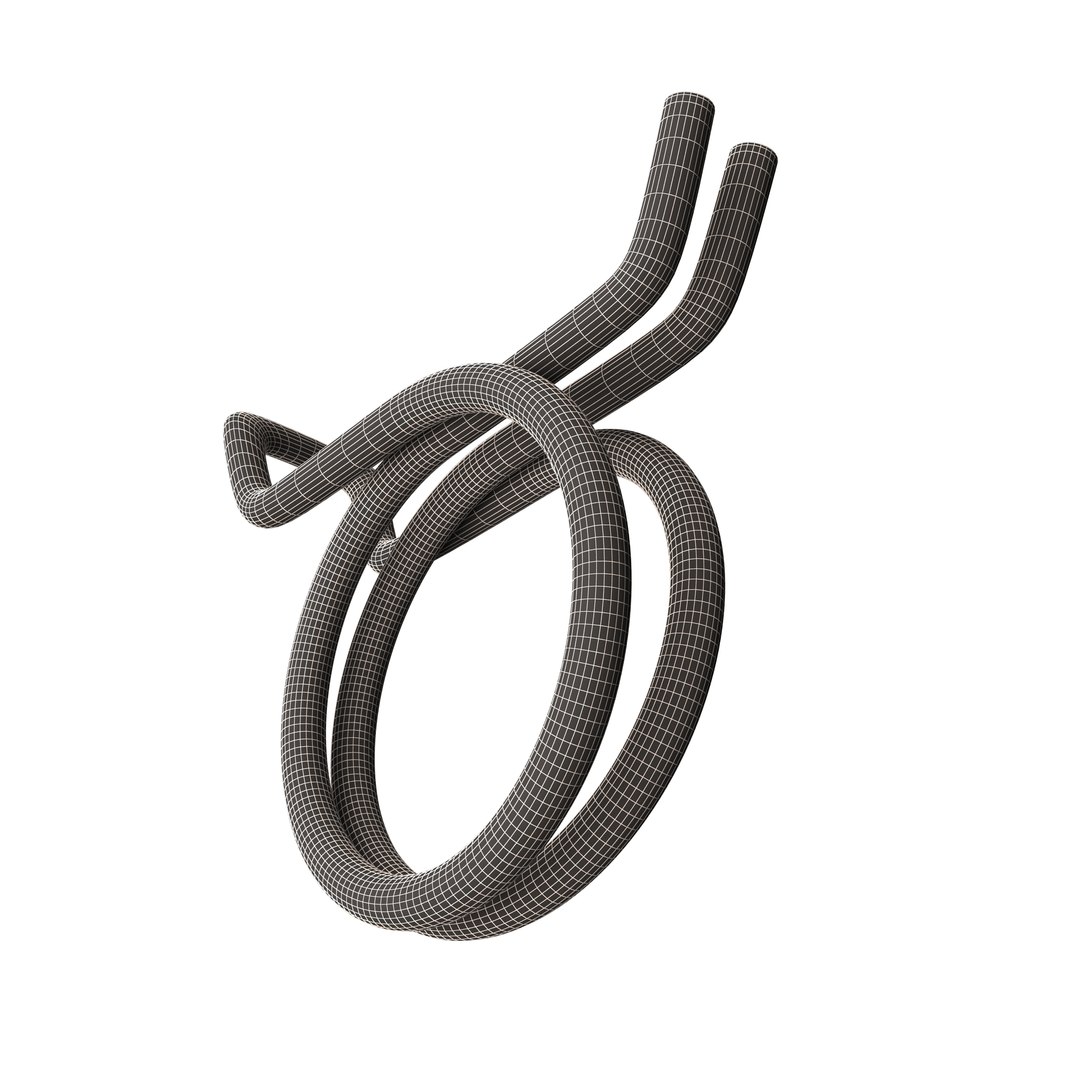 3D Model Double Wire Spring Hose Clamp Silver - TurboSquid 2026881