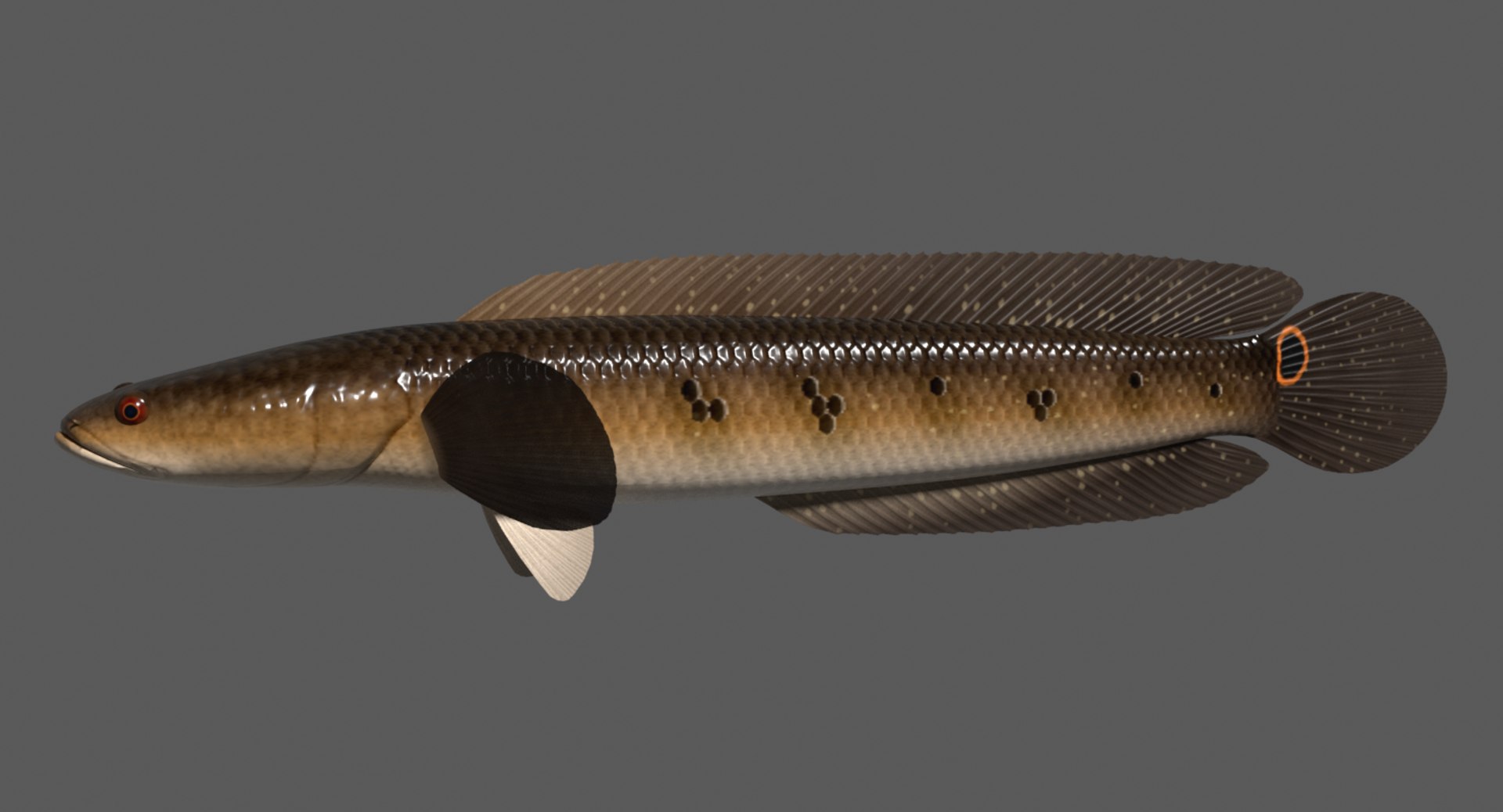 Great Snakehead 3d 3ds