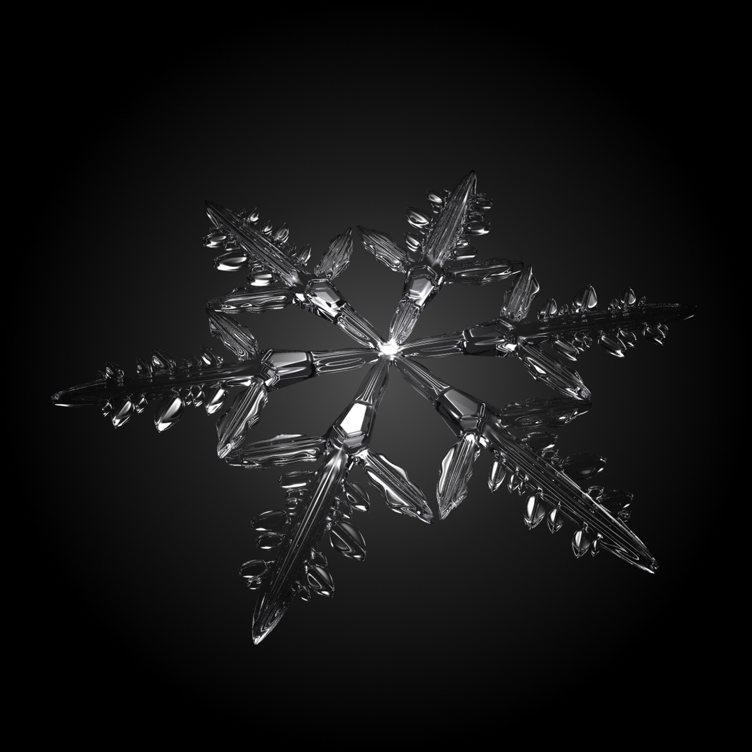 Snowflake Crystal 3d 3ds
