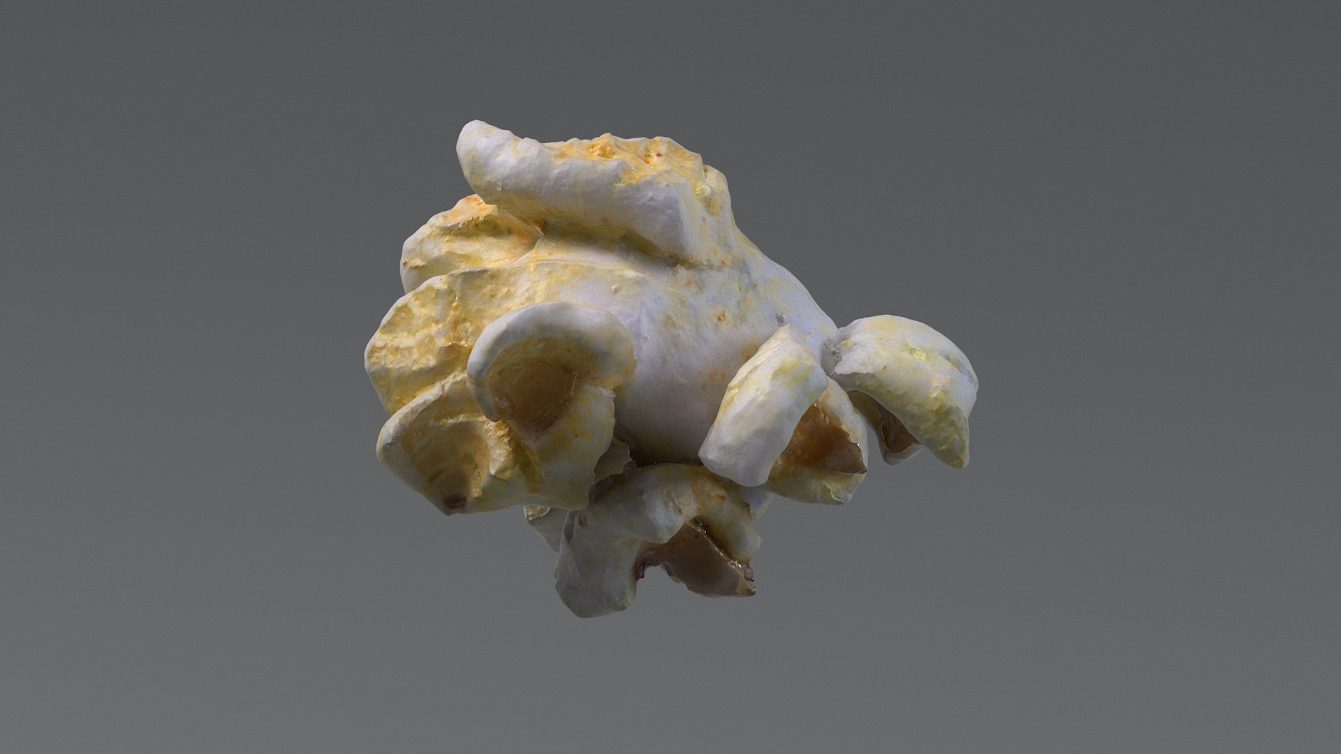 3D Realistic Popcorn 03 Model - TurboSquid 1824237