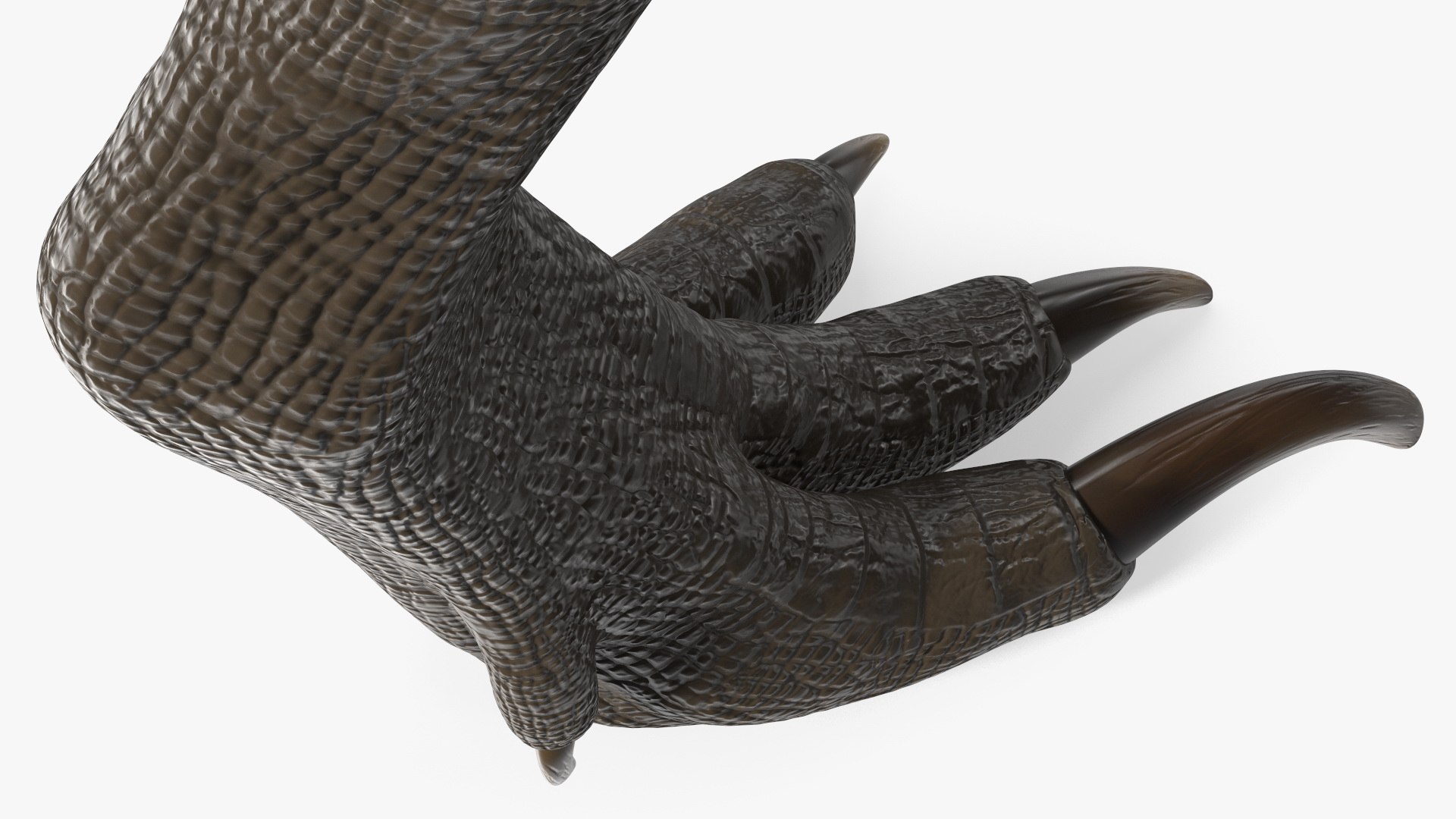 Indoraptor Leg 3D Model - TurboSquid 1884902