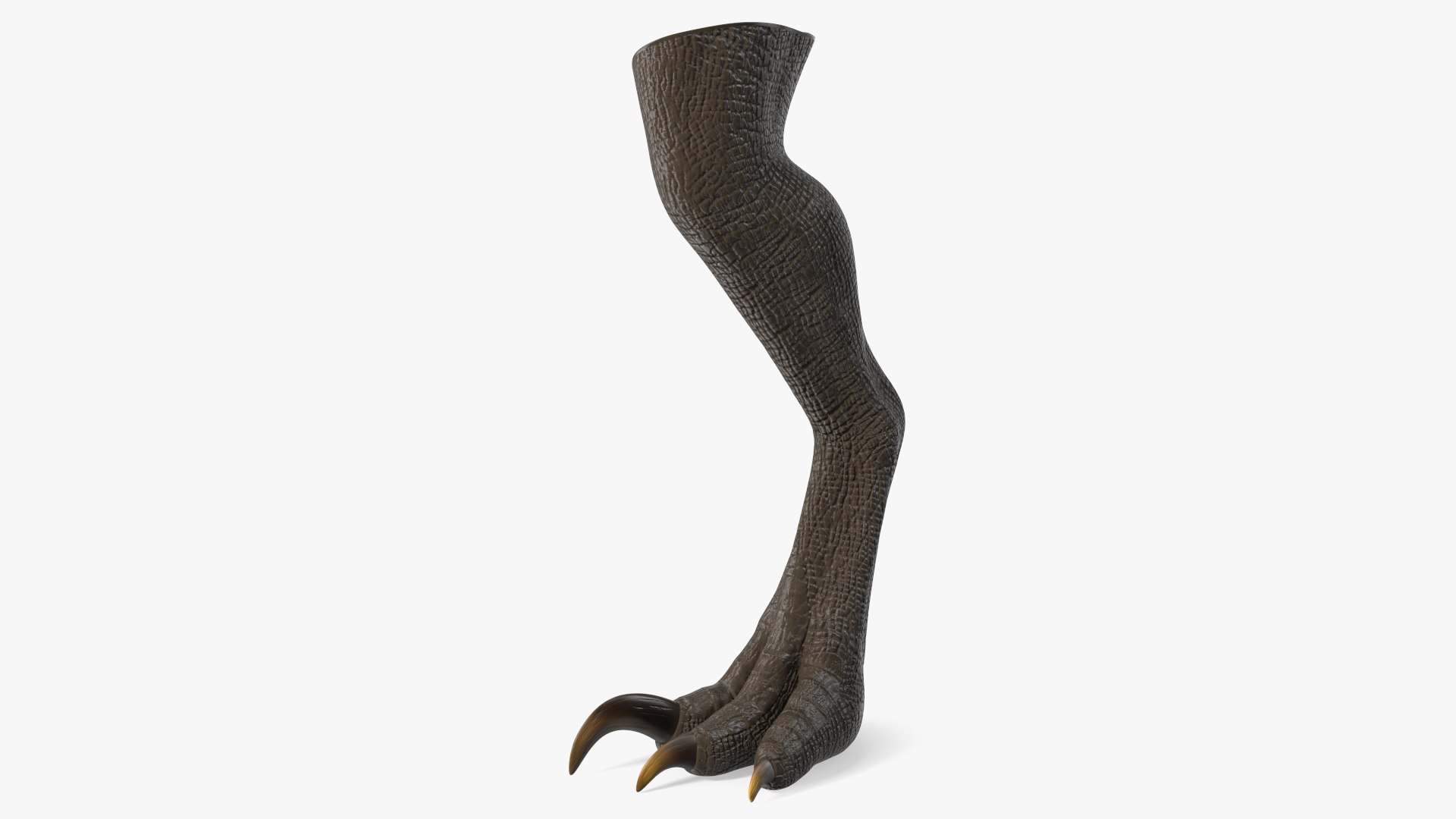 Indoraptor Leg 3D model - TurboSquid 1884902