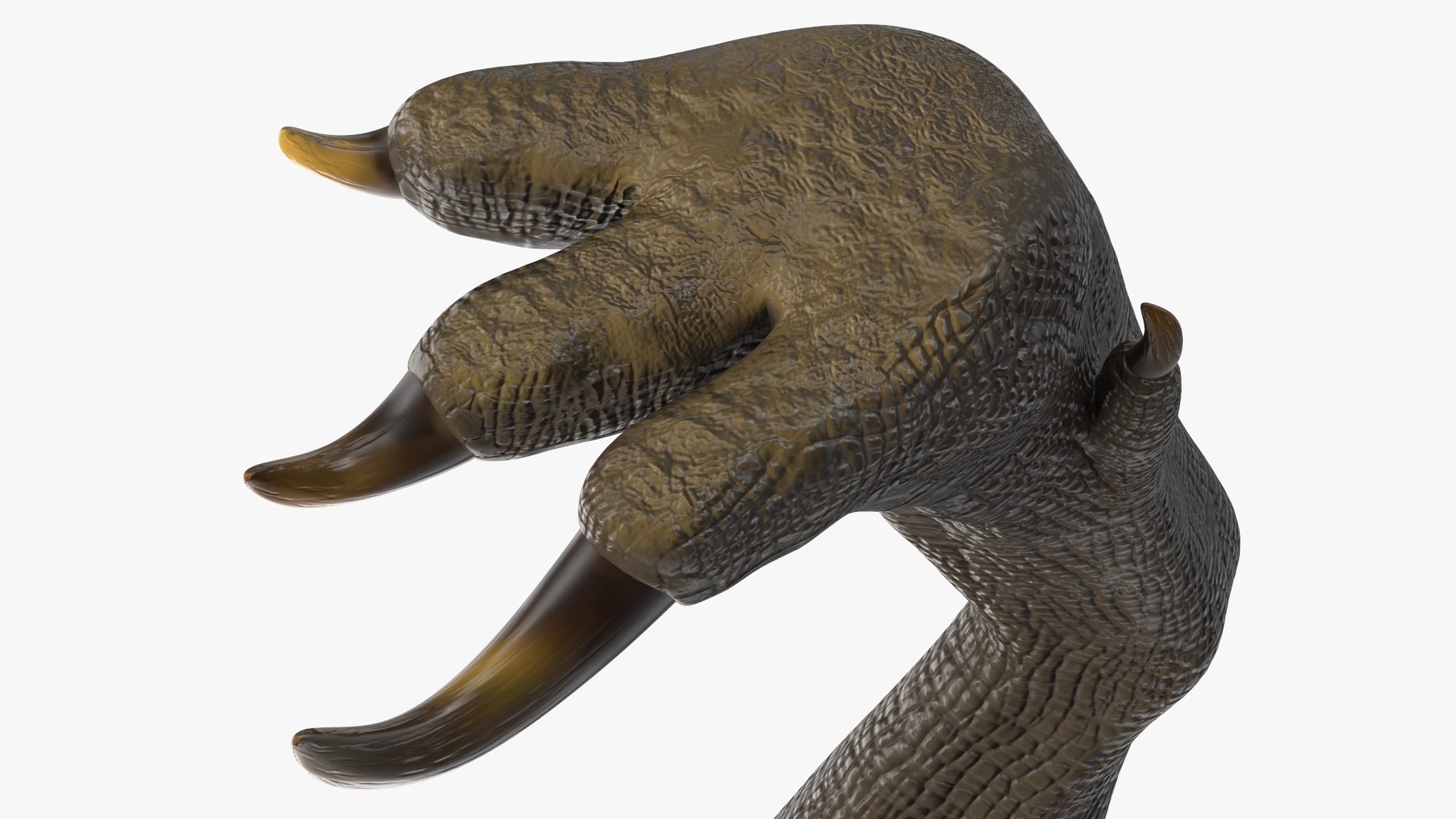 Indoraptor Leg 3D Model - TurboSquid 1884902