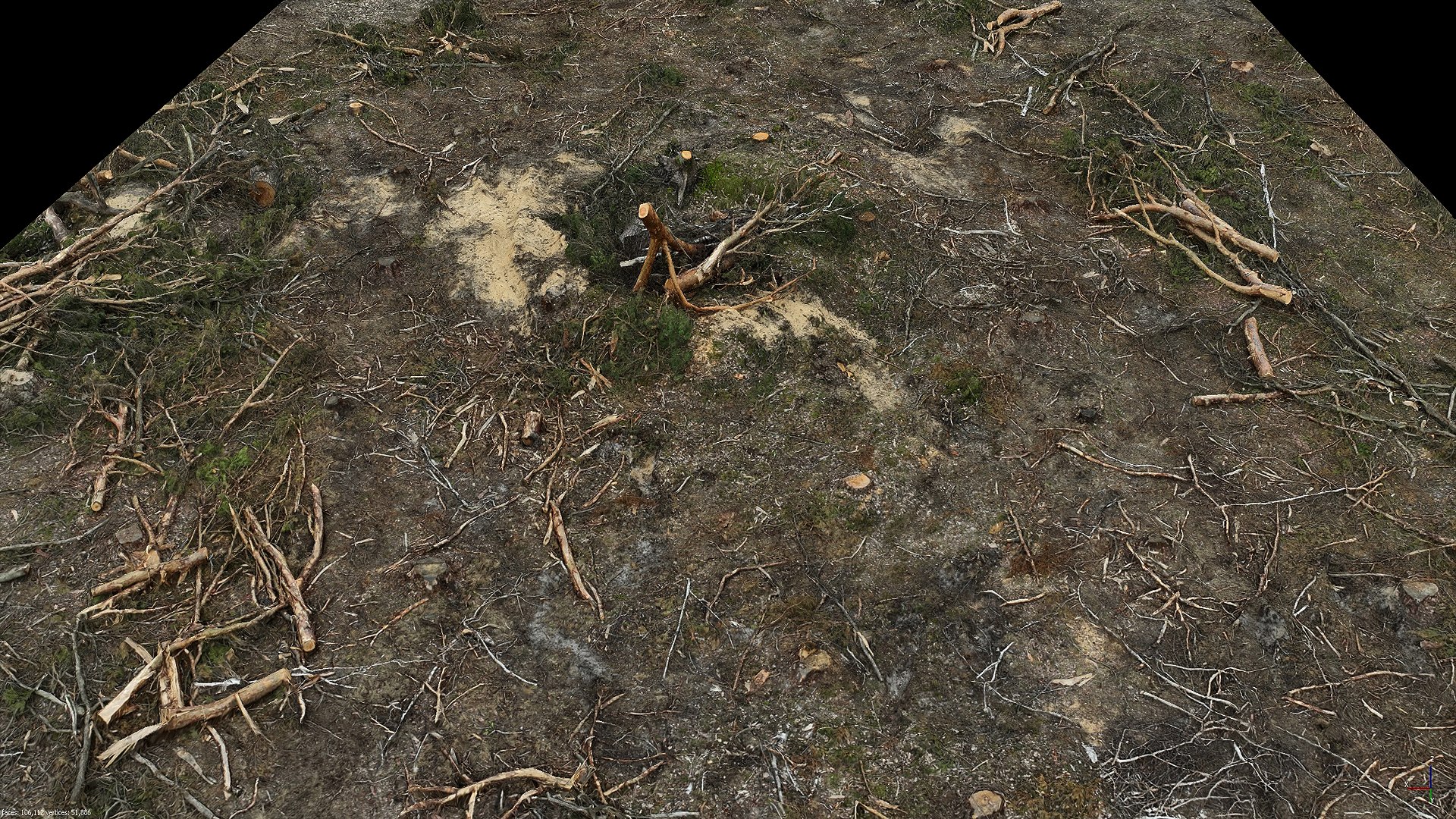 3D Model Forest Ground Cuted Tree Branches Pt3 Photogrammetry ...