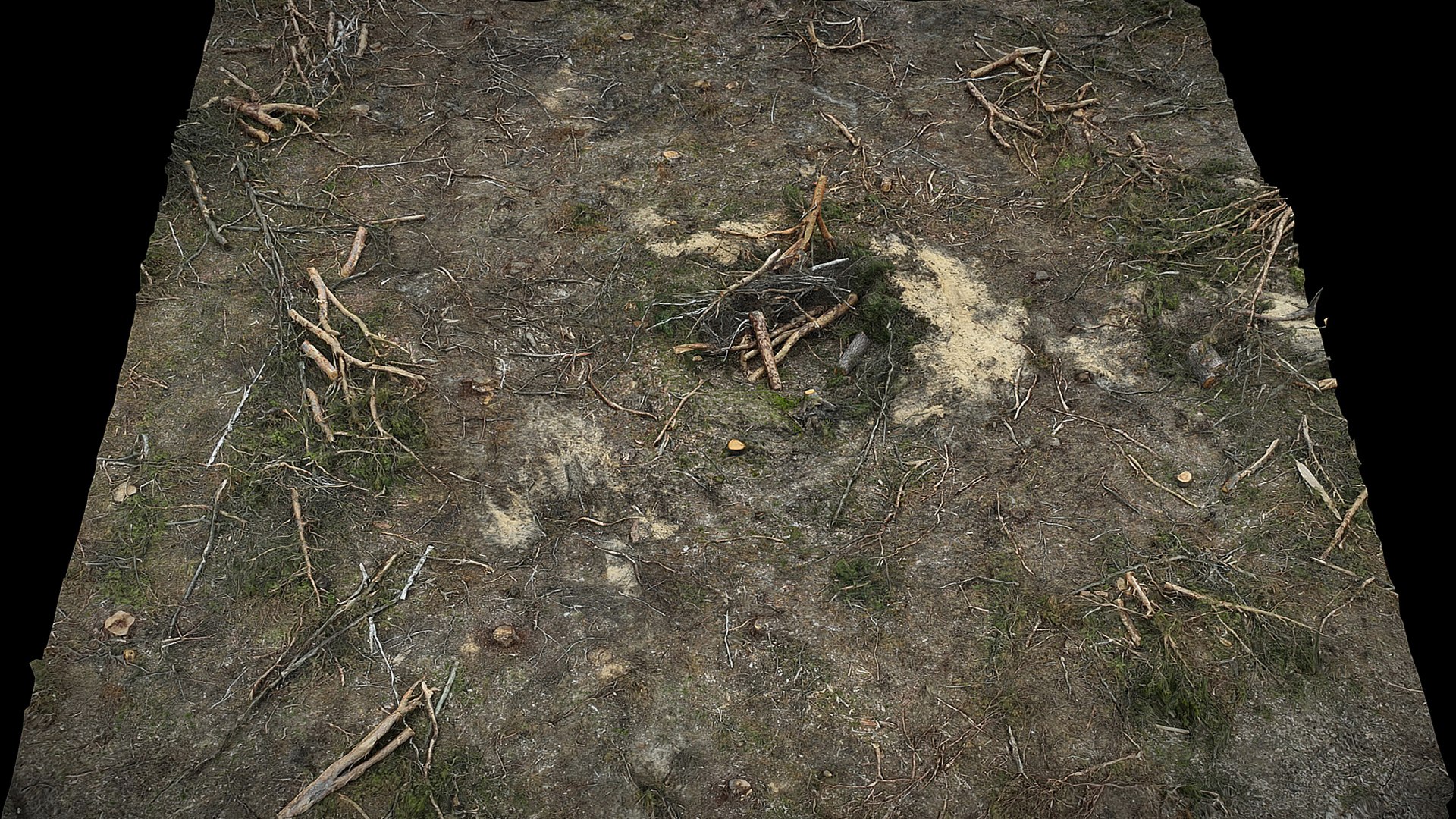 3D Model Forest Ground Cuted Tree Branches Pt3 Photogrammetry ...