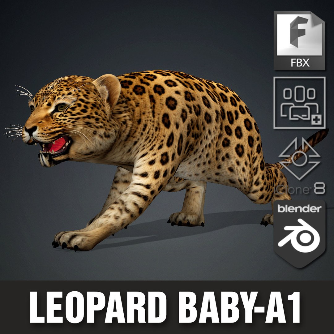 3D Leopard Baby-A1 - TurboSquid 2429729