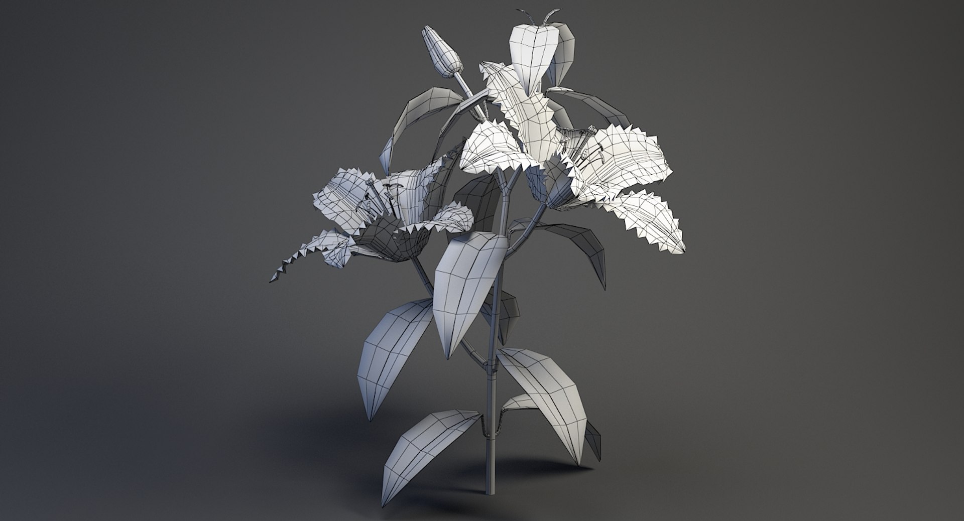 3D Realistic Pink Lily Flower Model - TurboSquid 1252626